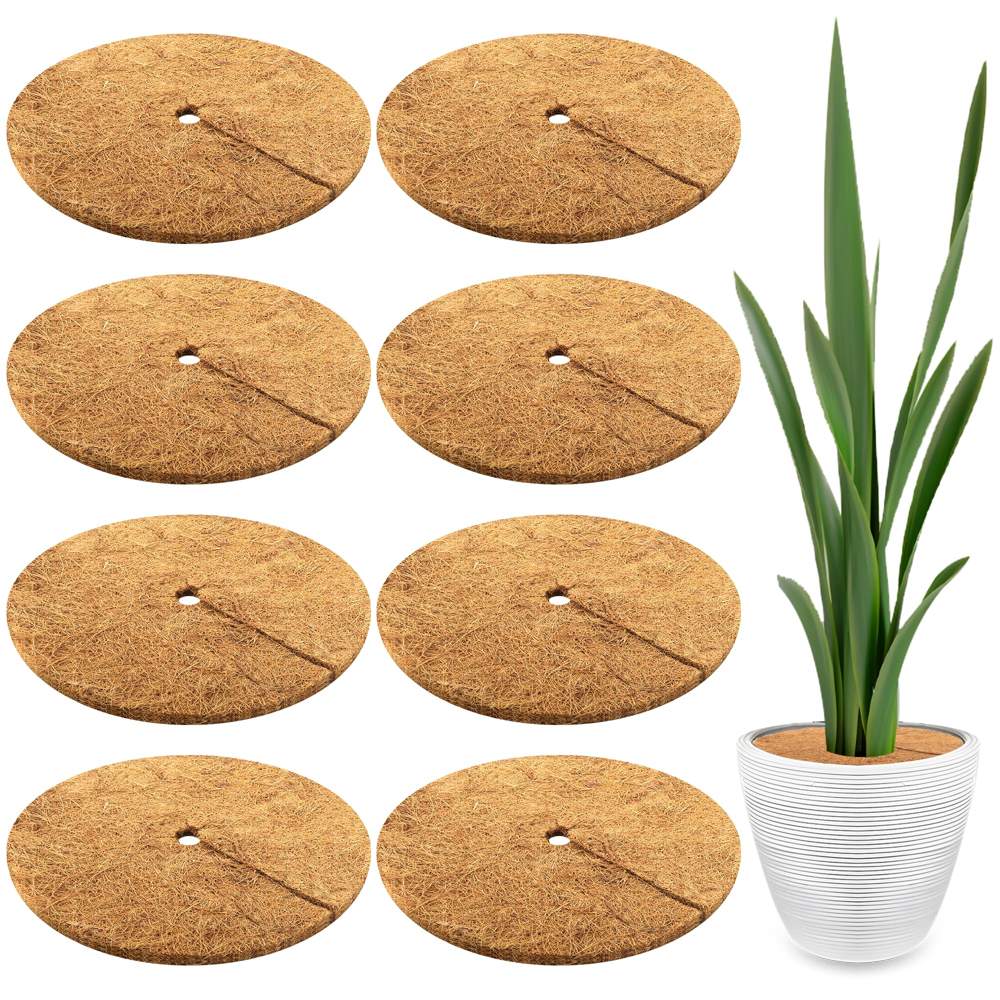 Amazon.com : Sinimaka 8 Pcs Coconut Fiber Tree Ring Mulch Mat, 15.7 ...