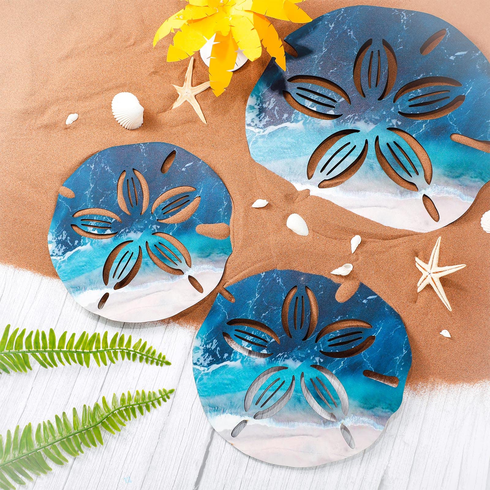 Sand Dollar Painting Trademark Fine Art 'Sand Dollar' Canvas Art By