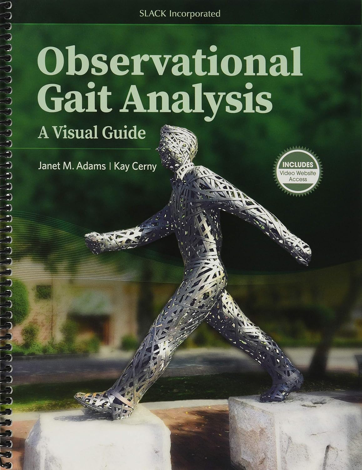 Visual Guide to Observational Gait Analysis Philippines | Ubuy