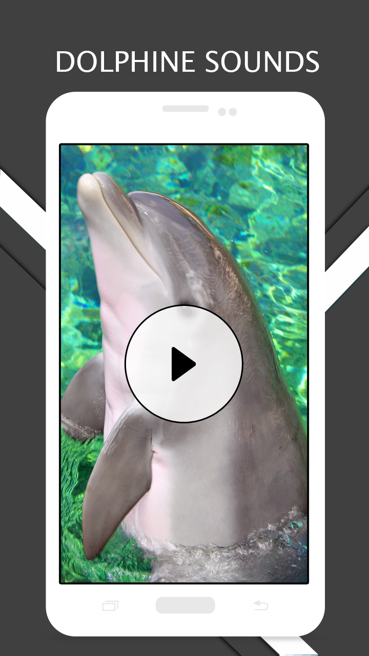 Dolphin Sounds And Ringtones - App on Amazon Appstore