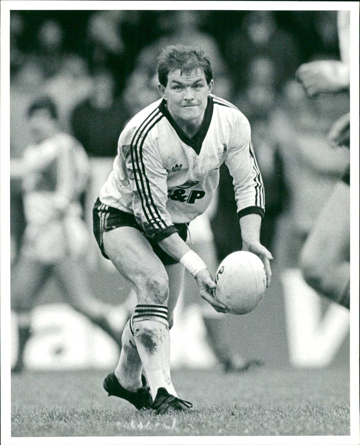 Amazon.com: Vintage photo of Andy Platt. : Home & Kitchen