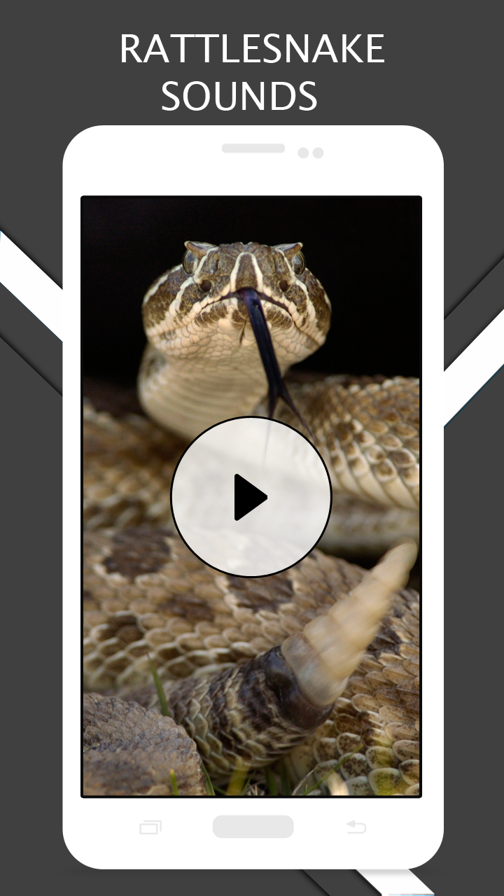 Rattlesnake Sounds And Ringtones - App on Amazon Appstore