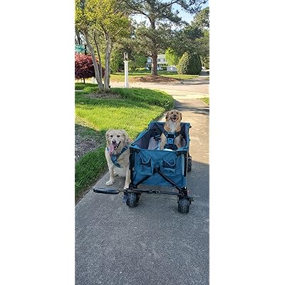 PORTAL Collapsible Folding Beach Wagon with Big India | Ubuy