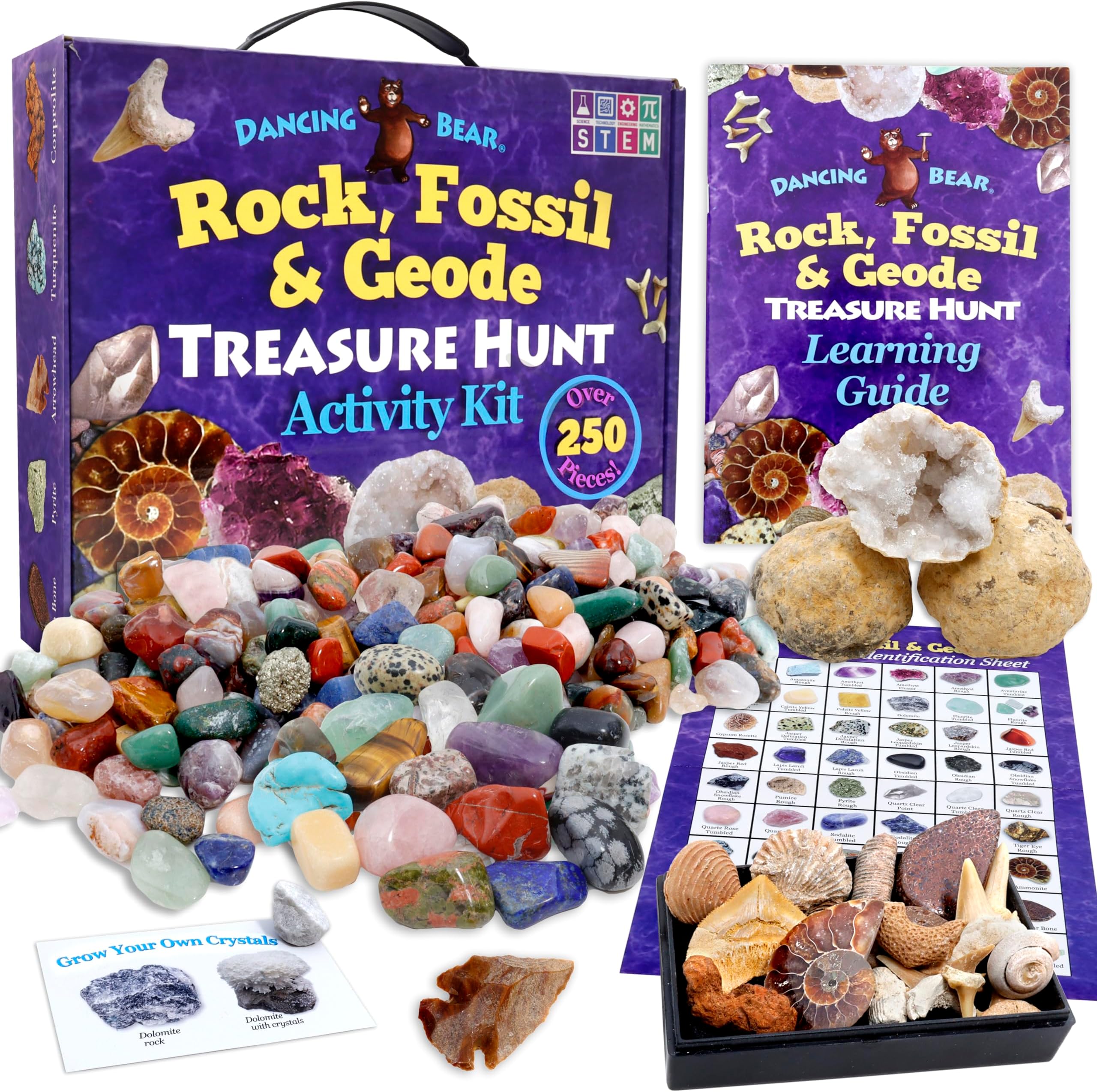 NATIONAL GEOGRAPHIC Rock Collection Box for Kids – 200 Piece Gemstones ...