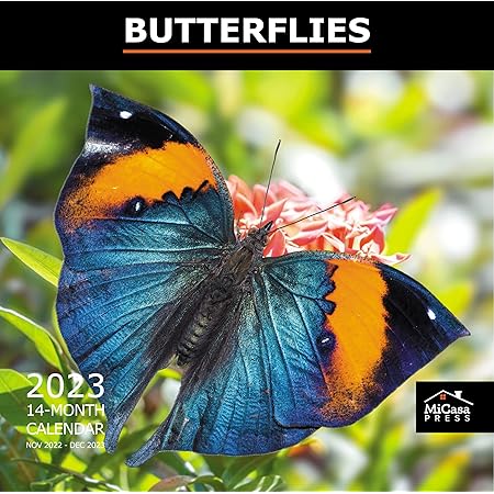 Amazon.com : 2023 Butterflies Monthly Wall Calendar by Red Robin Calendars 12" x 12" : Office ...