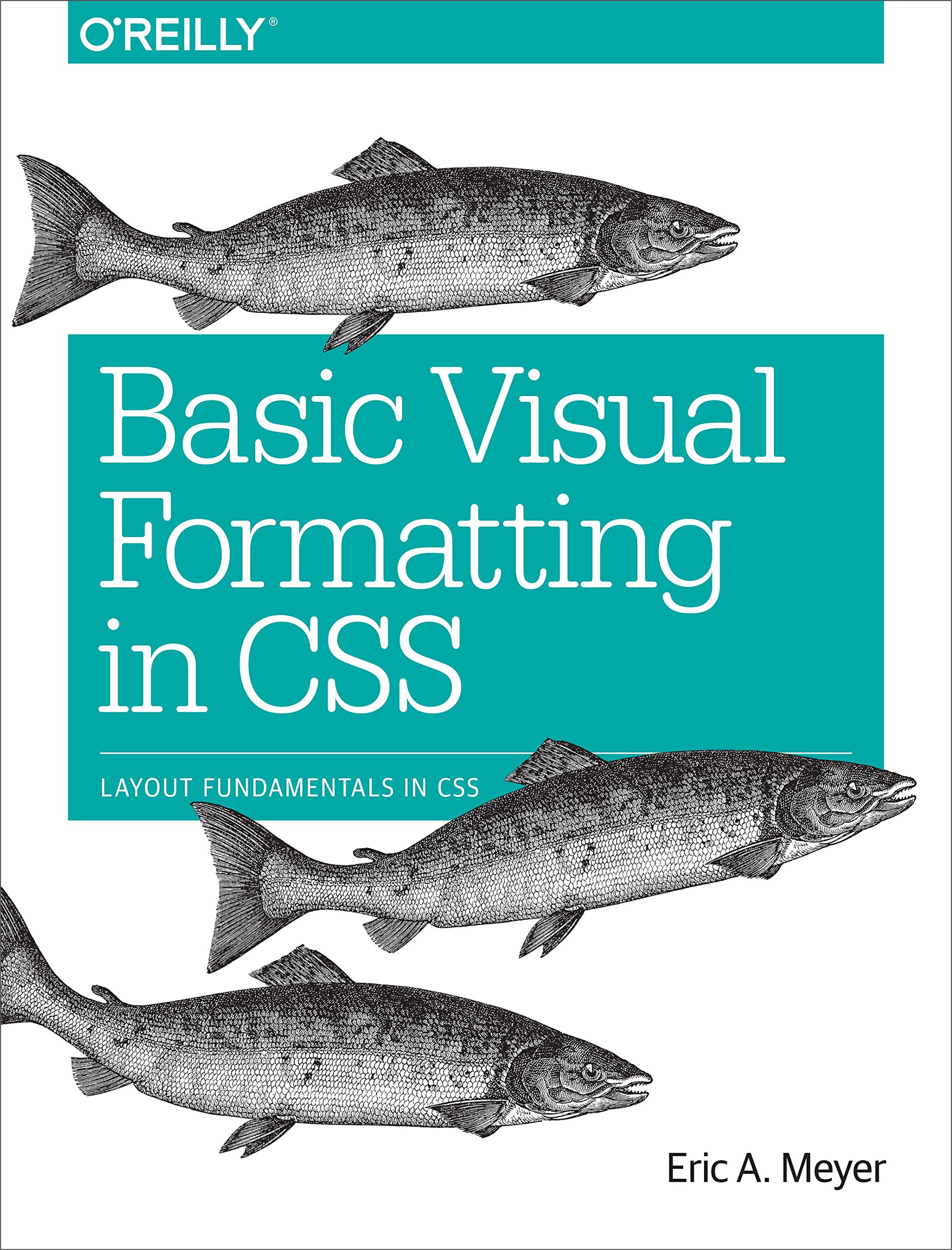 Basic Visual Formatting In Css Layout Fundamentals In Css Desertcart