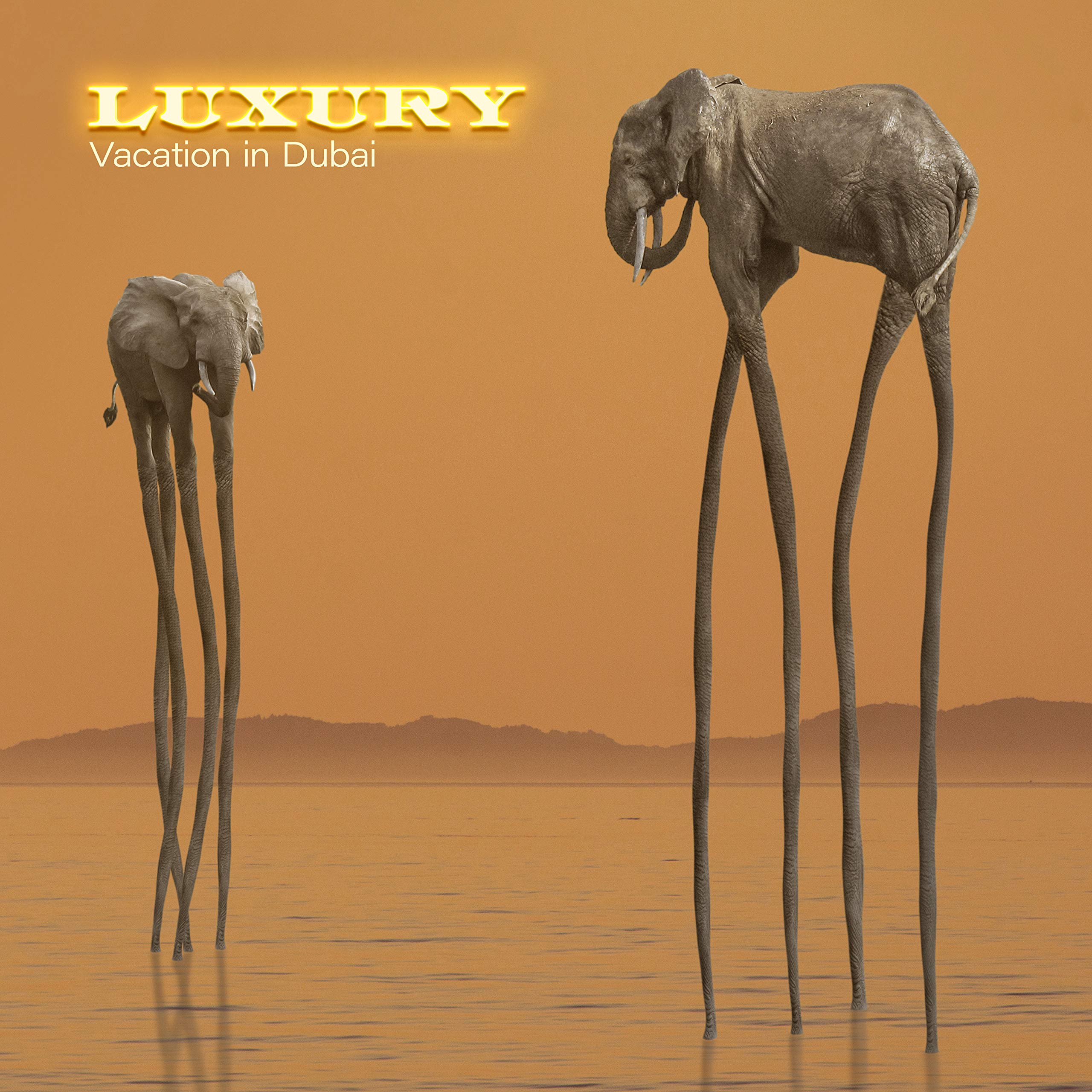 Belly Dancer song by Chill Out Galaxy from Arabic Chillout Grooves ...