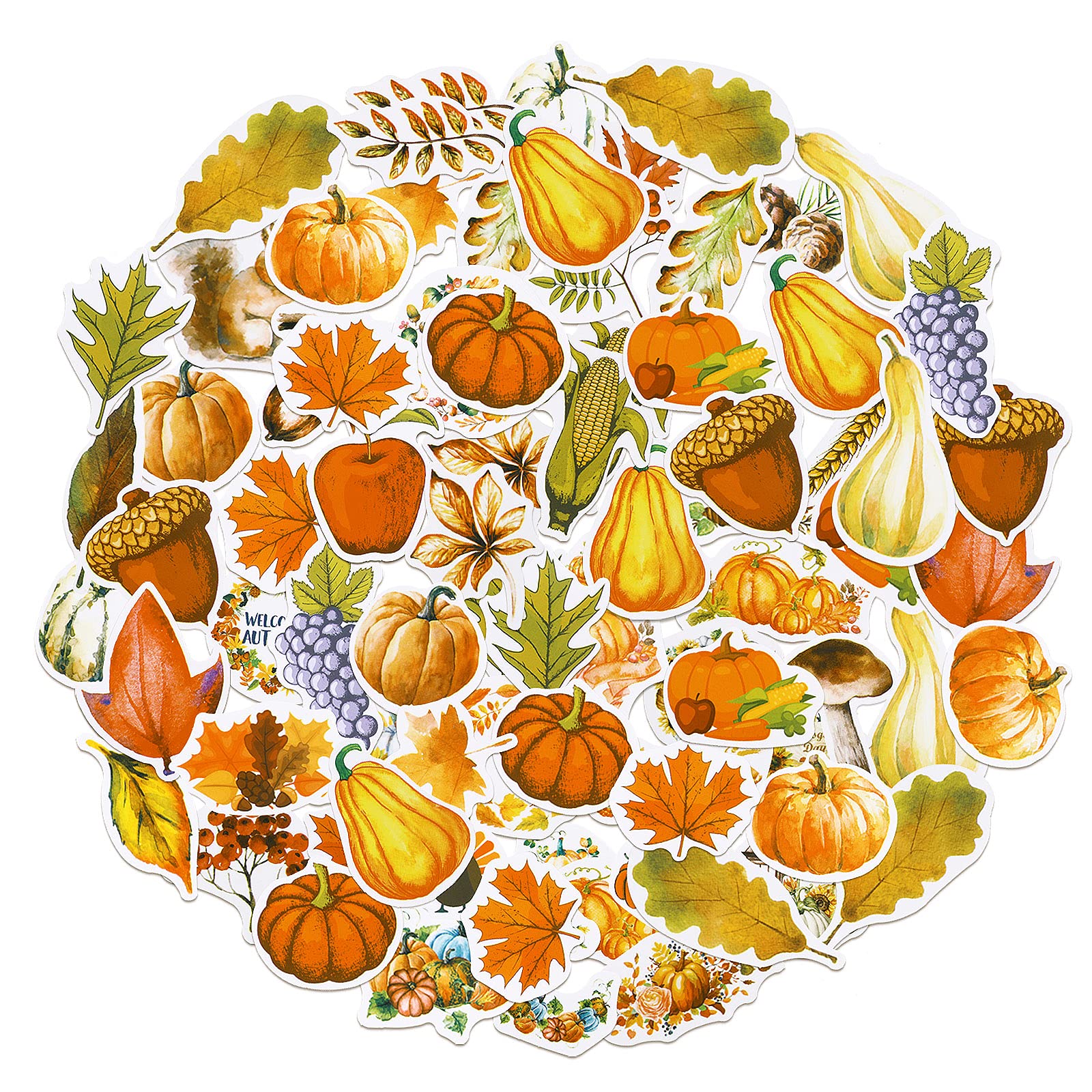 Amazon.com: 250 Pieces Cute Fall Stickers Scrapbooks Laptop Harvest ...