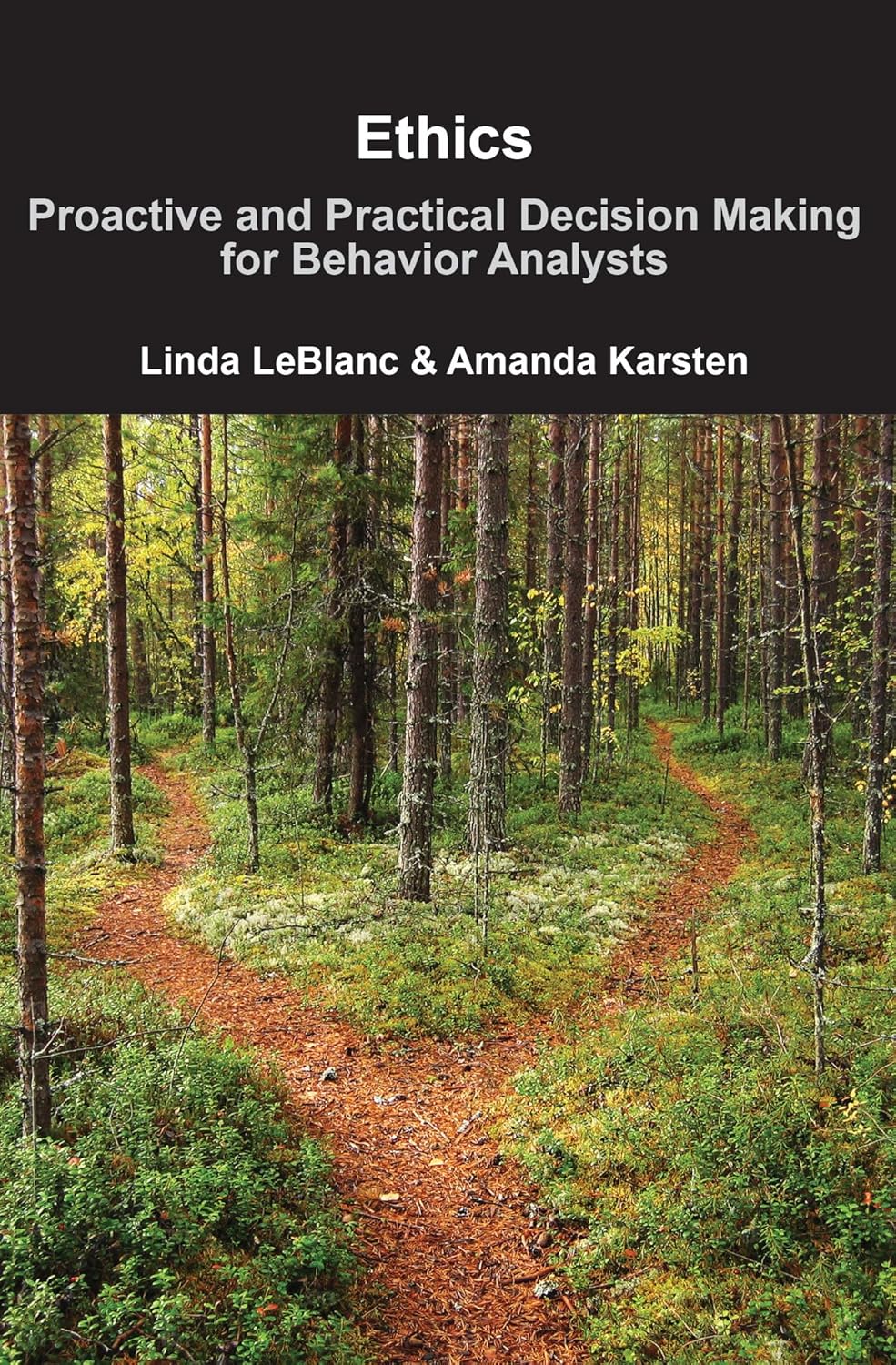 Ethics: Proactive and Practical Decision Making for Behavior Analysts ...