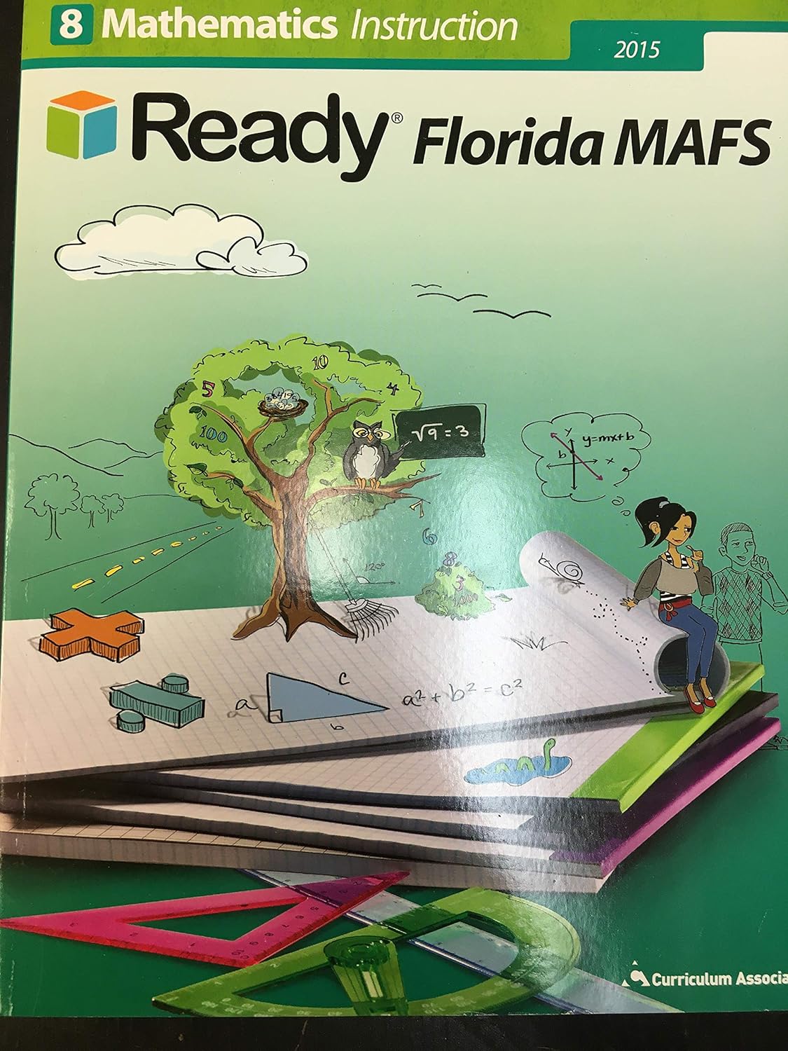 Ready Florida MAFS 8 Mathematics INSTRUCTION: Halloran: 9780760995648 ...