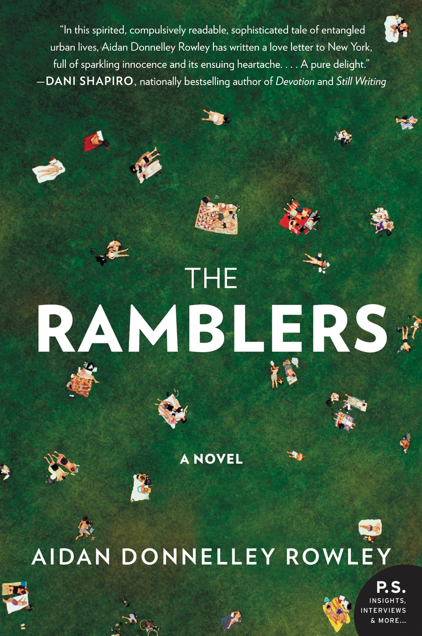 The Ramblers: A Novel: Rowley, Aidan Donnelley: 9780062413321: Amazon ...