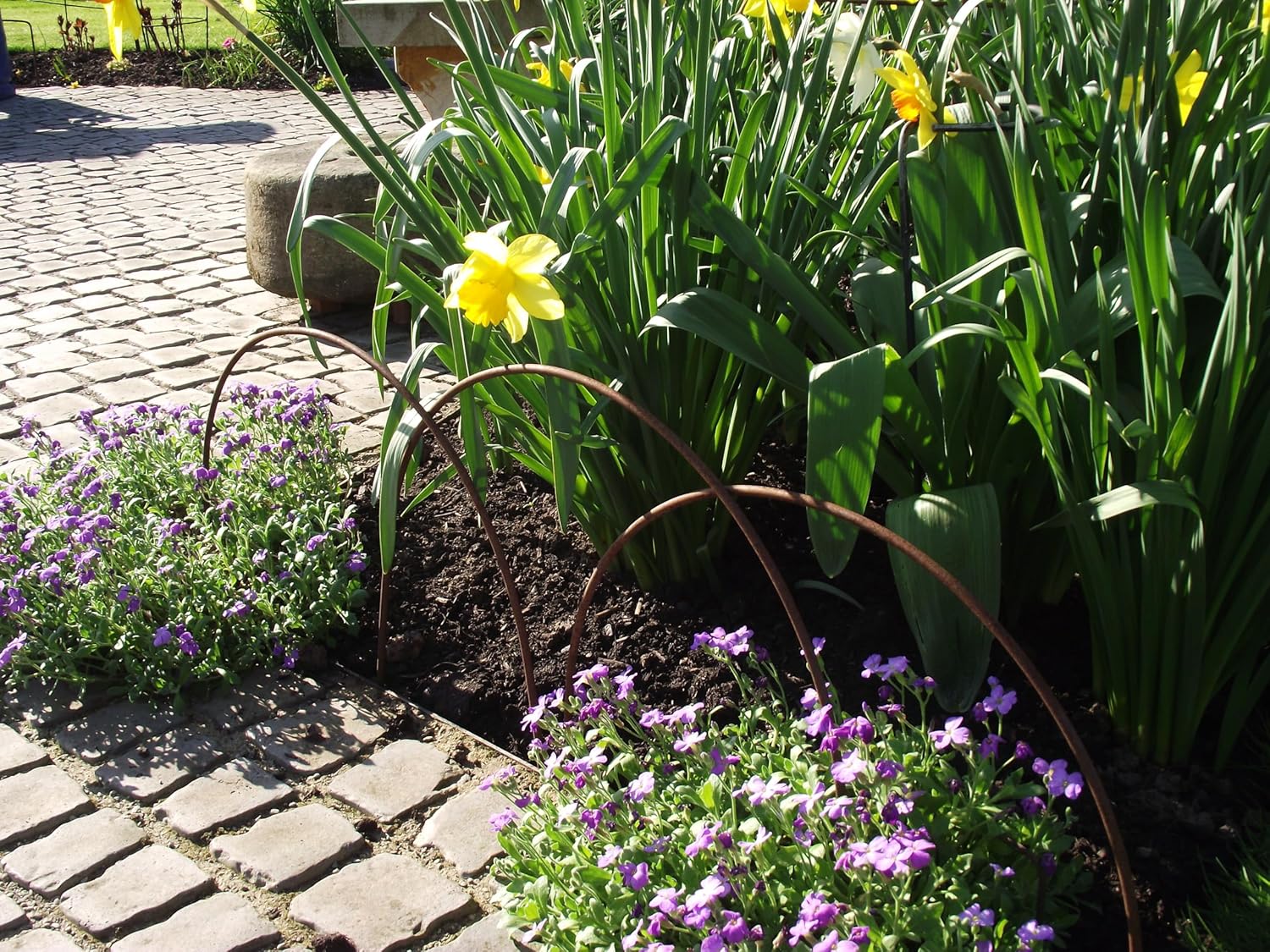 Plant Supports (UK) Ltd Rustic Iron Edging hoop pack of 5 58cm high ...