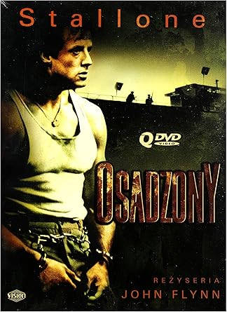 Lock Up [DVD] [Region 2] (English audio): Amazon.co.uk: Sylvester ...