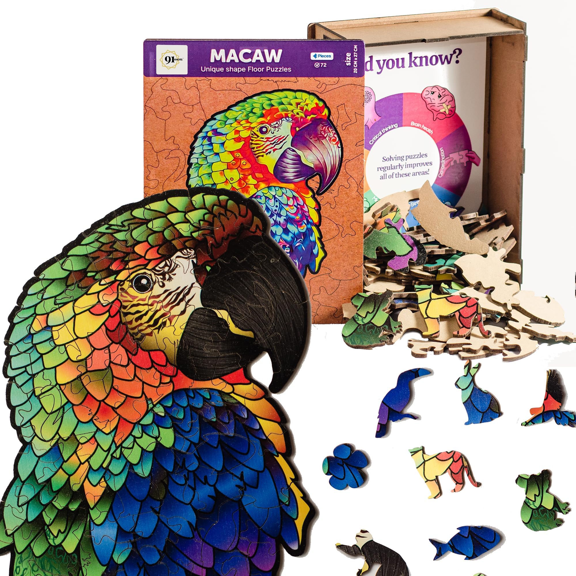 Buy 91Knots - Macaw 72 Pieces Wooden Jigsaw Puzzle for Kids & Children ...