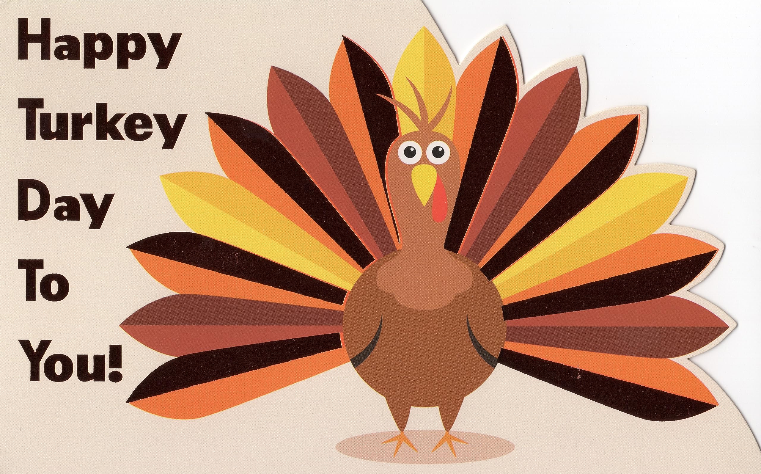 Cute Turkey