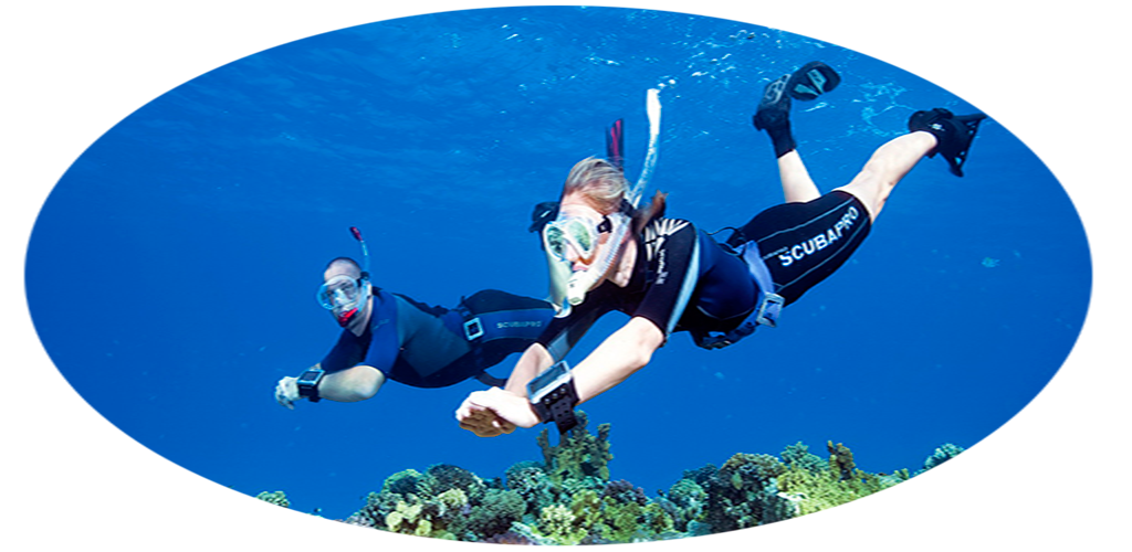 Rules to play Snorkel - App on Amazon Appstore