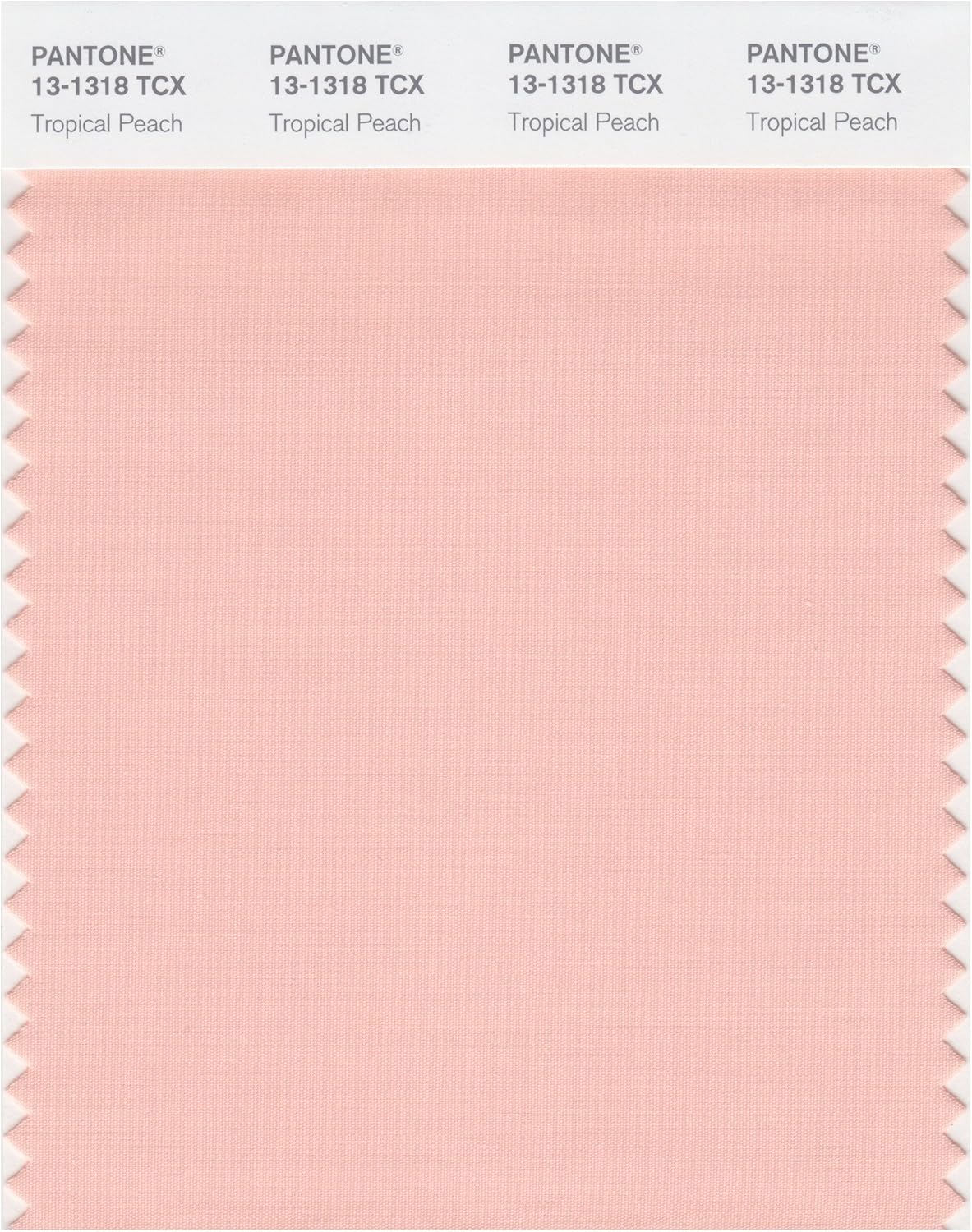PANTONE Smart 13-1318X Color Swatch Card, Tropical Peach - House Paint ...