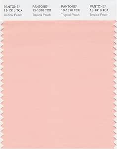 PANTONE Smart 13-1318X Color Swatch Card, Tropical Peach - House Paint ...