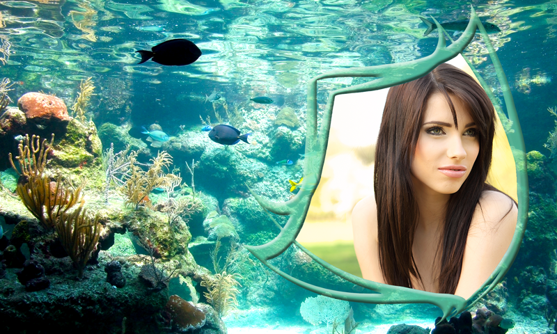 Aquarium Photo Frames - App on Amazon Appstore