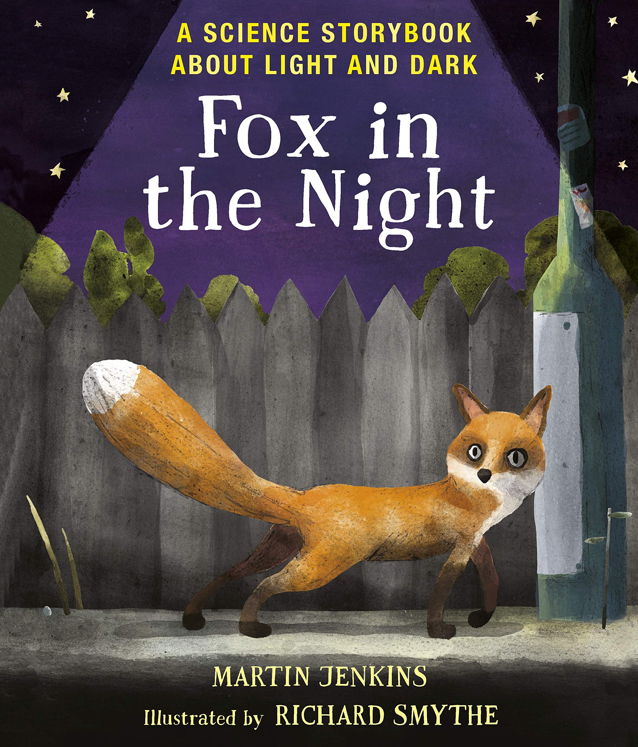 Fox in the Night: A Science Storybook About Light and Dark (Science ...