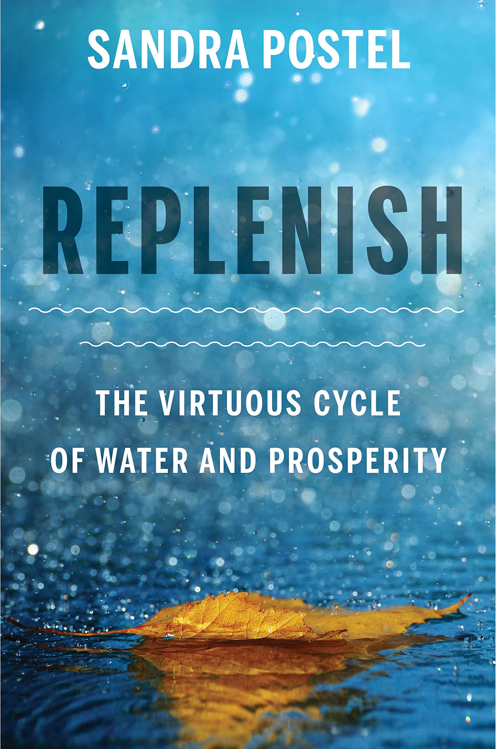 Replenish: The Virtuous Cycle of Water and Prosperity: Postel, Sandra ...