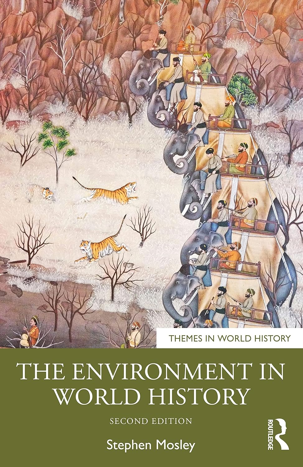 The Environment in World History (Themes in World History) : Mosley ...