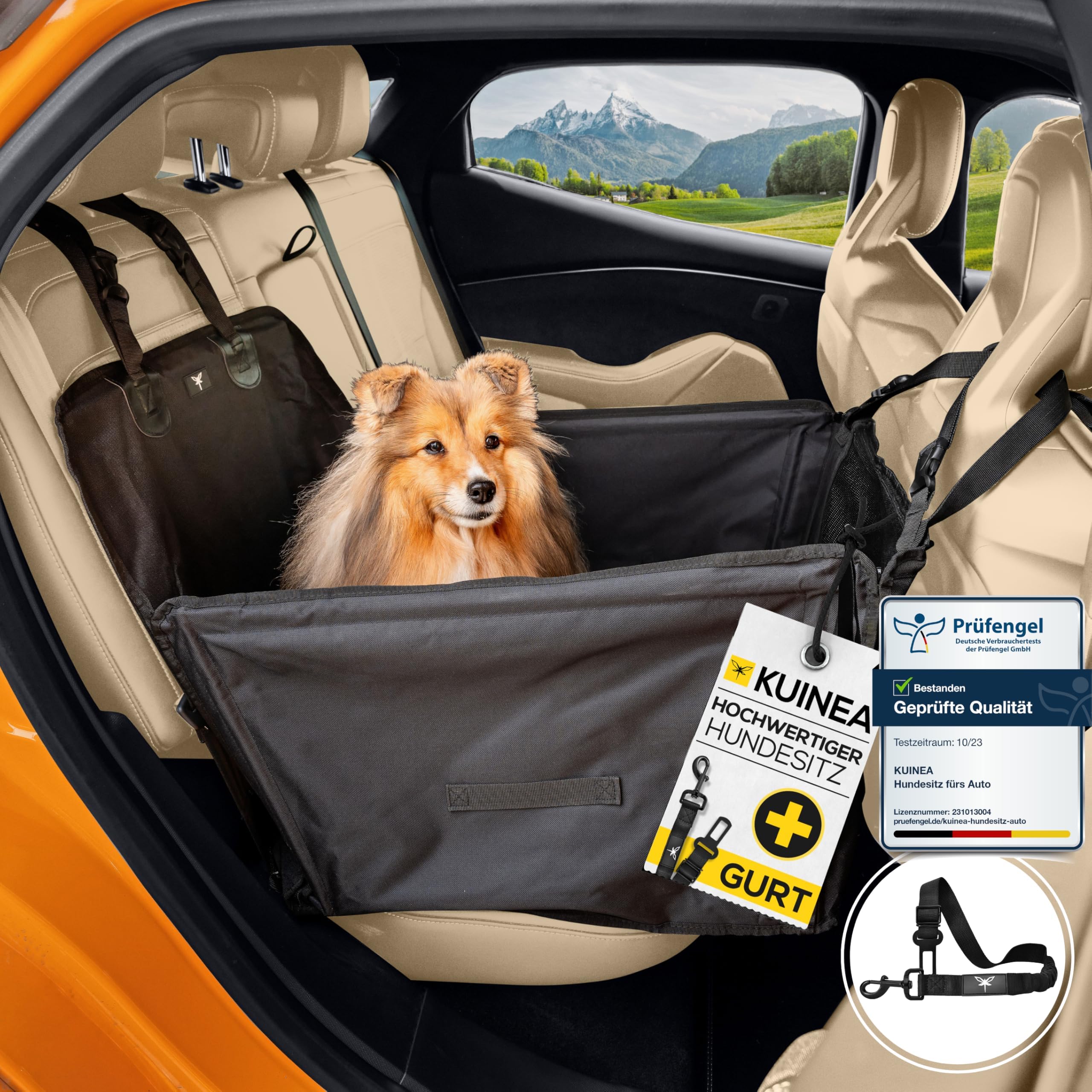 Hundesitz Auto - Hochwertiger Hunde Autositz Rückbank groß für kleine ...
