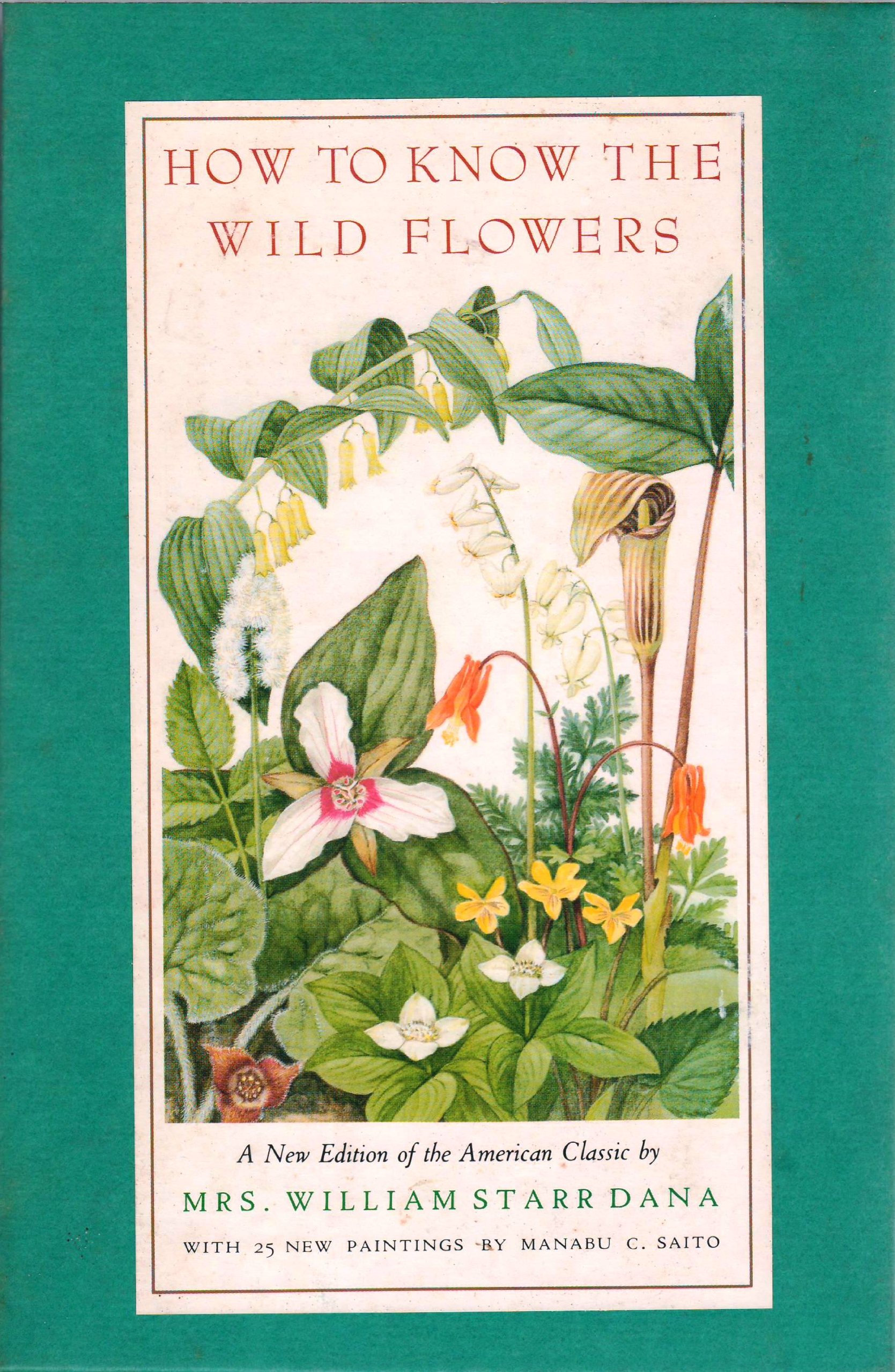 Wildflowers Pictures And Names Floral – Silverwood Friends