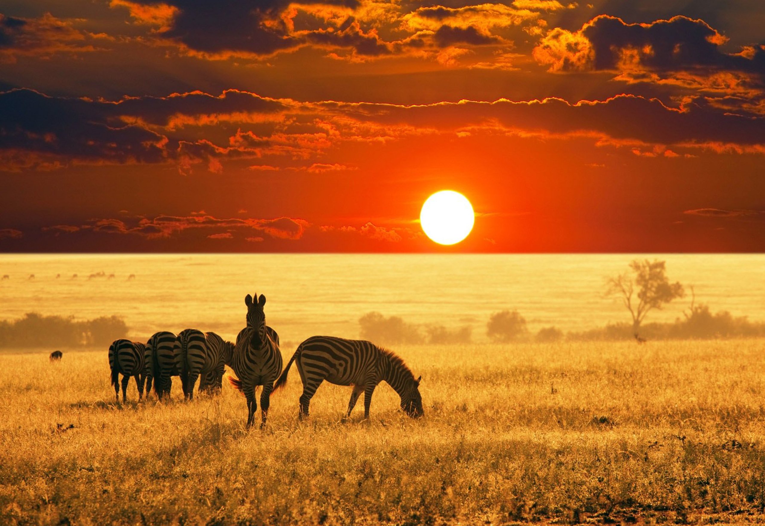 African Landscape Wallpapers
