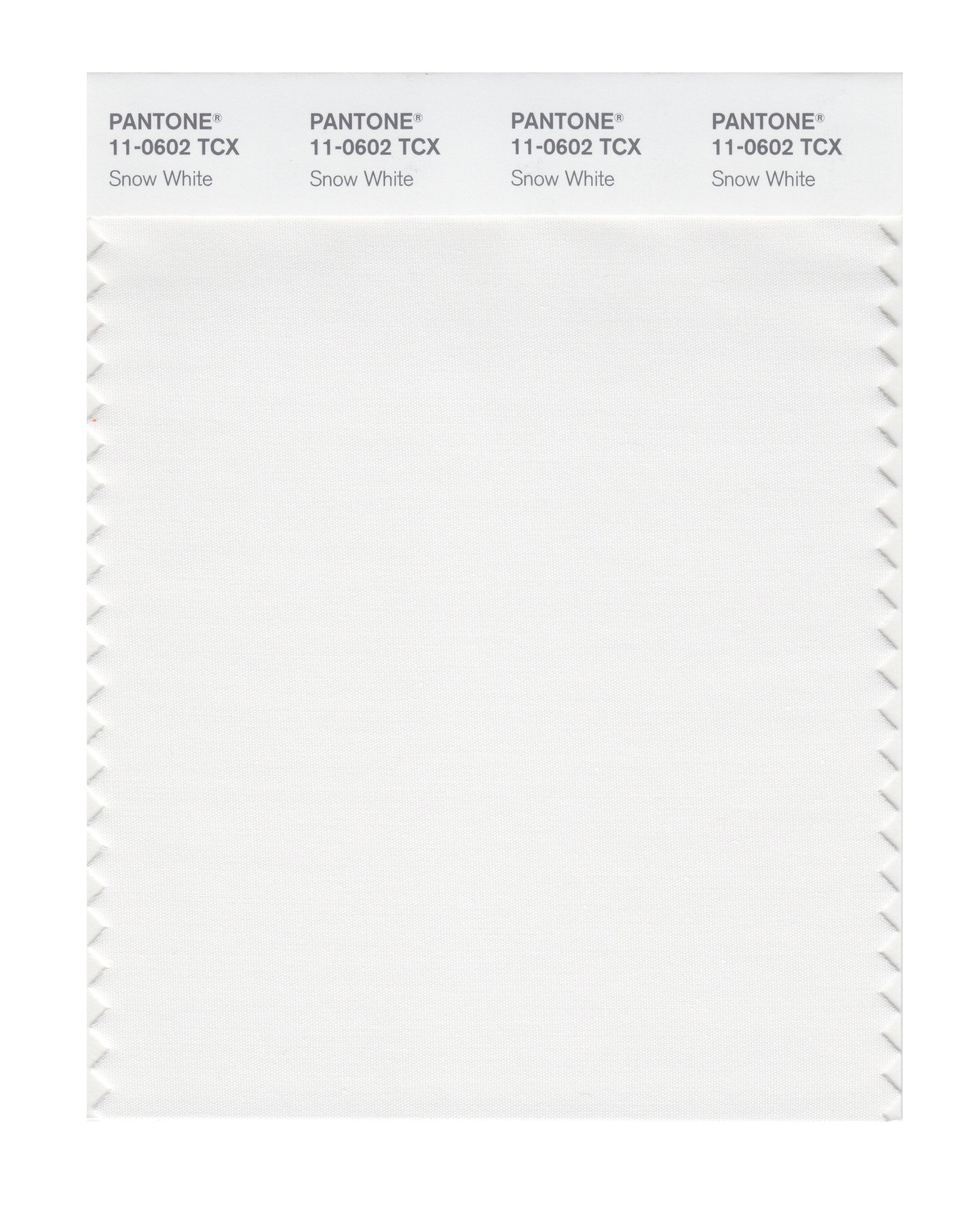 Buy PANTONE SMART 11-0602X Color Swatch Card, Snow White by Pantone ...