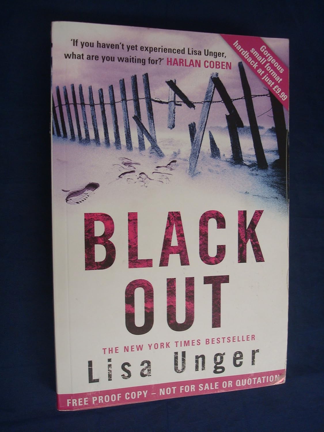 Black Out: Lisa Unger: 9780099522157: Amazon.com: Books
