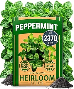 Amazon.com : HOME GROWN 𝗨𝗦𝗔 𝗣𝗥𝗘𝗠𝗜𝗨𝗠 Peppermint Seeds Pack – 2,370 𝗡𝗢𝗡-𝗚𝗠𝗢 Heirloom Mint Seeds ...