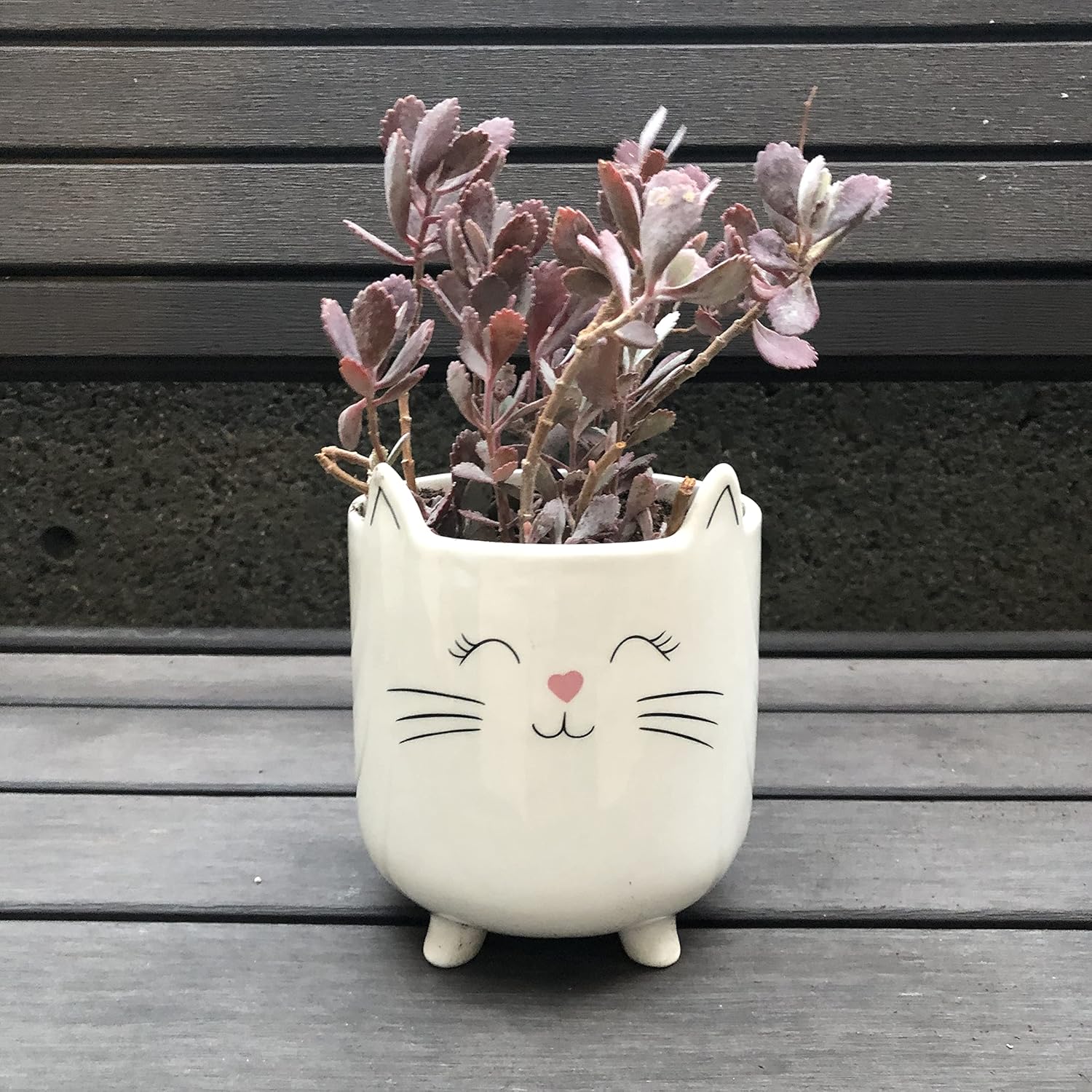 Amazon.com : SparkDazzle Cat Planter Pot | Succulent Planter | Animal ...