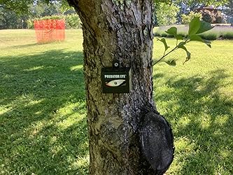 Amazon.com : ASPECTEK Solar Rechargeable Night Time Predator Eye Animal ...