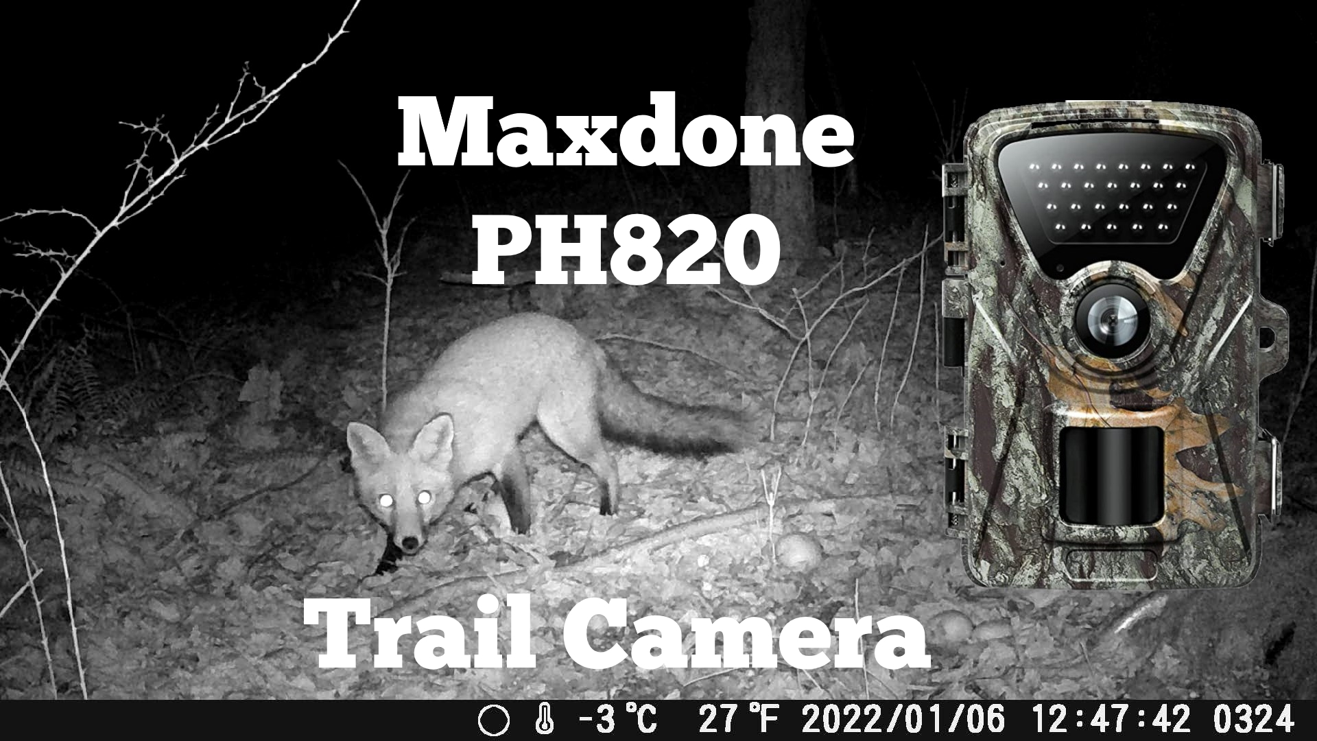 Watch Maxdone PH820 Trail Camera Review on Amazon Live