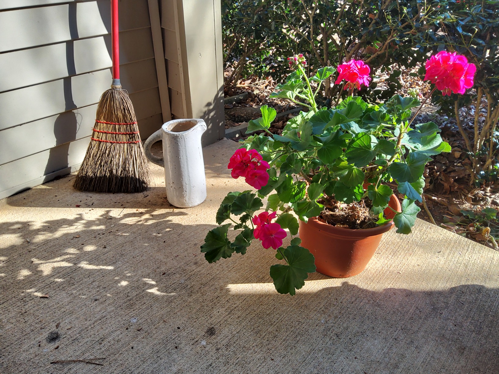 Amazon.com: Once Around [VHS] : Movies & TV