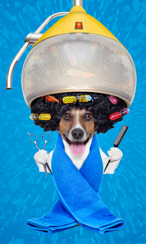 Funny Face Photo Editor:Amazon.com:Appstore for Android