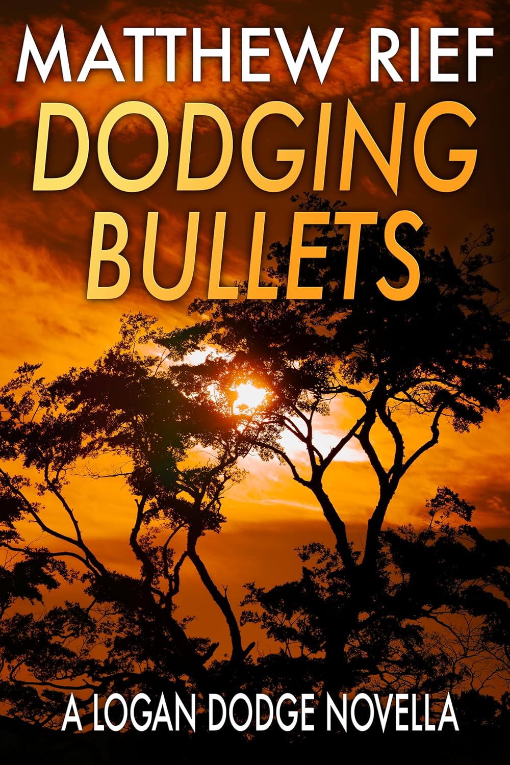 Dodging Bullets: A Logan Dodge Novella (Florida Keys Adventure Series ...