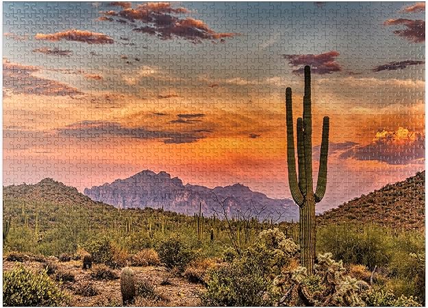 Amazon.com: MyPuzzle Sunset in The Sonoran Desert Near Phoenix, Arizona ...