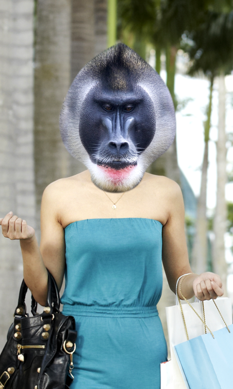 Monkey Photo Montage - App on Amazon Appstore