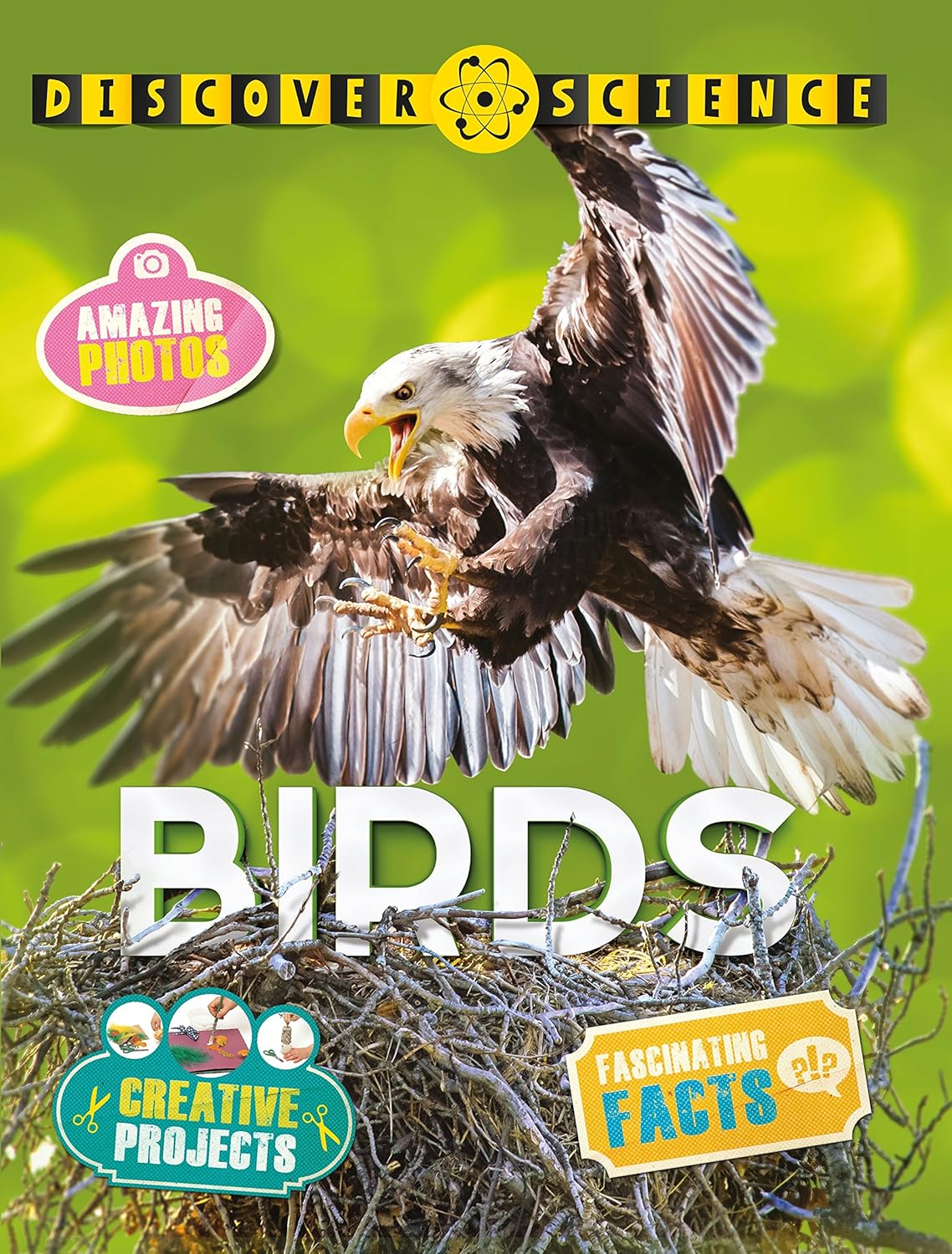 Discover Science: Birds: Davies, Nicola: 9780753473320: Amazon.com: Books