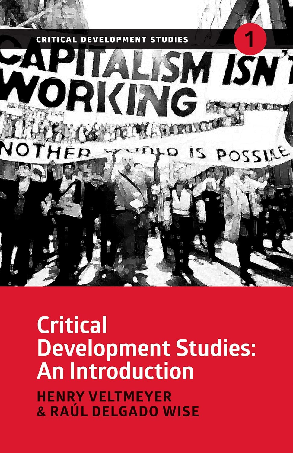 Critical Development Studies: An Introduction: Veltmeyer, Henry, Wise ...