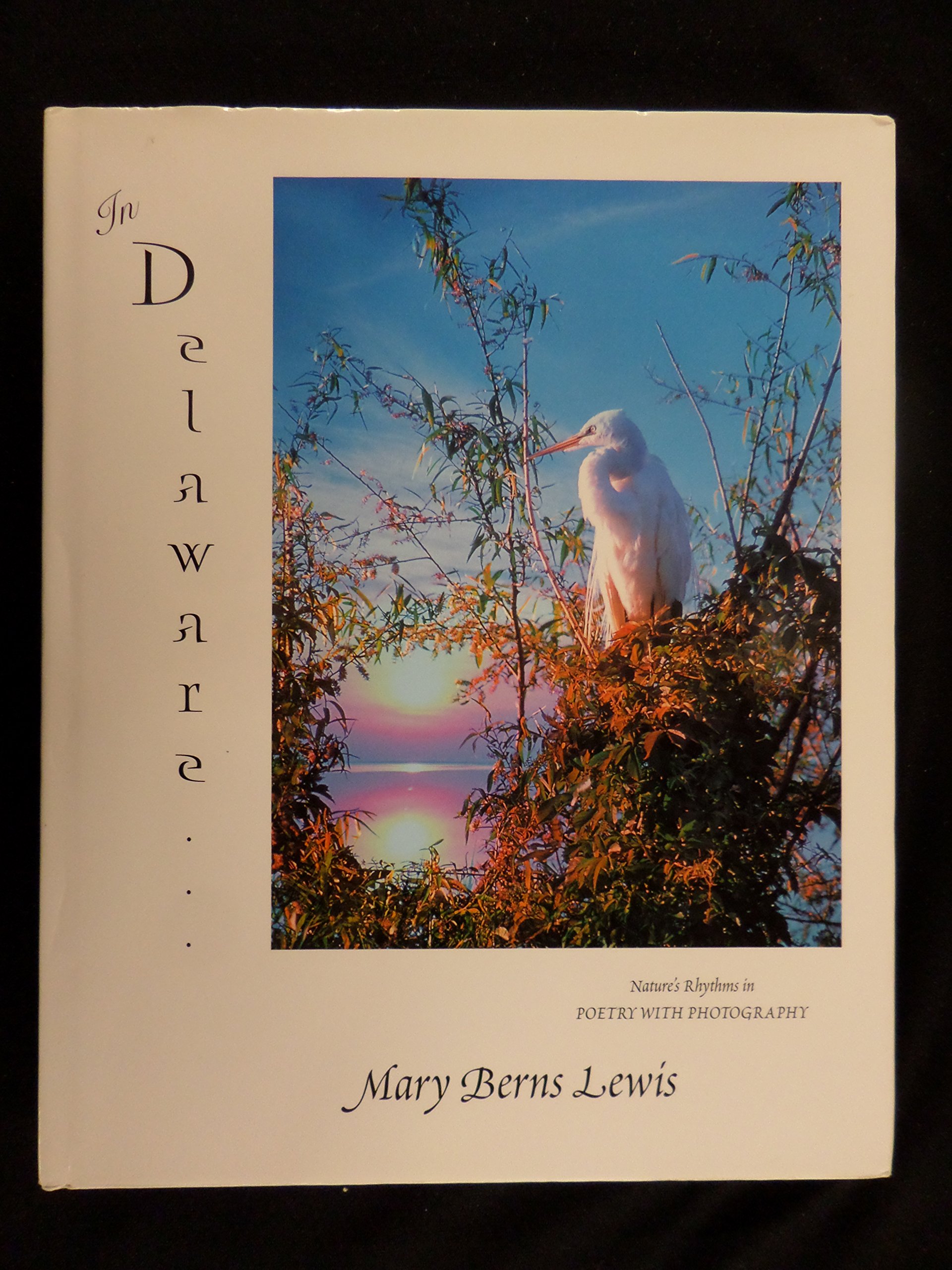 In Delaware-: Lewis, Mary Berns: 9780967127507: Amazon.com: Books
