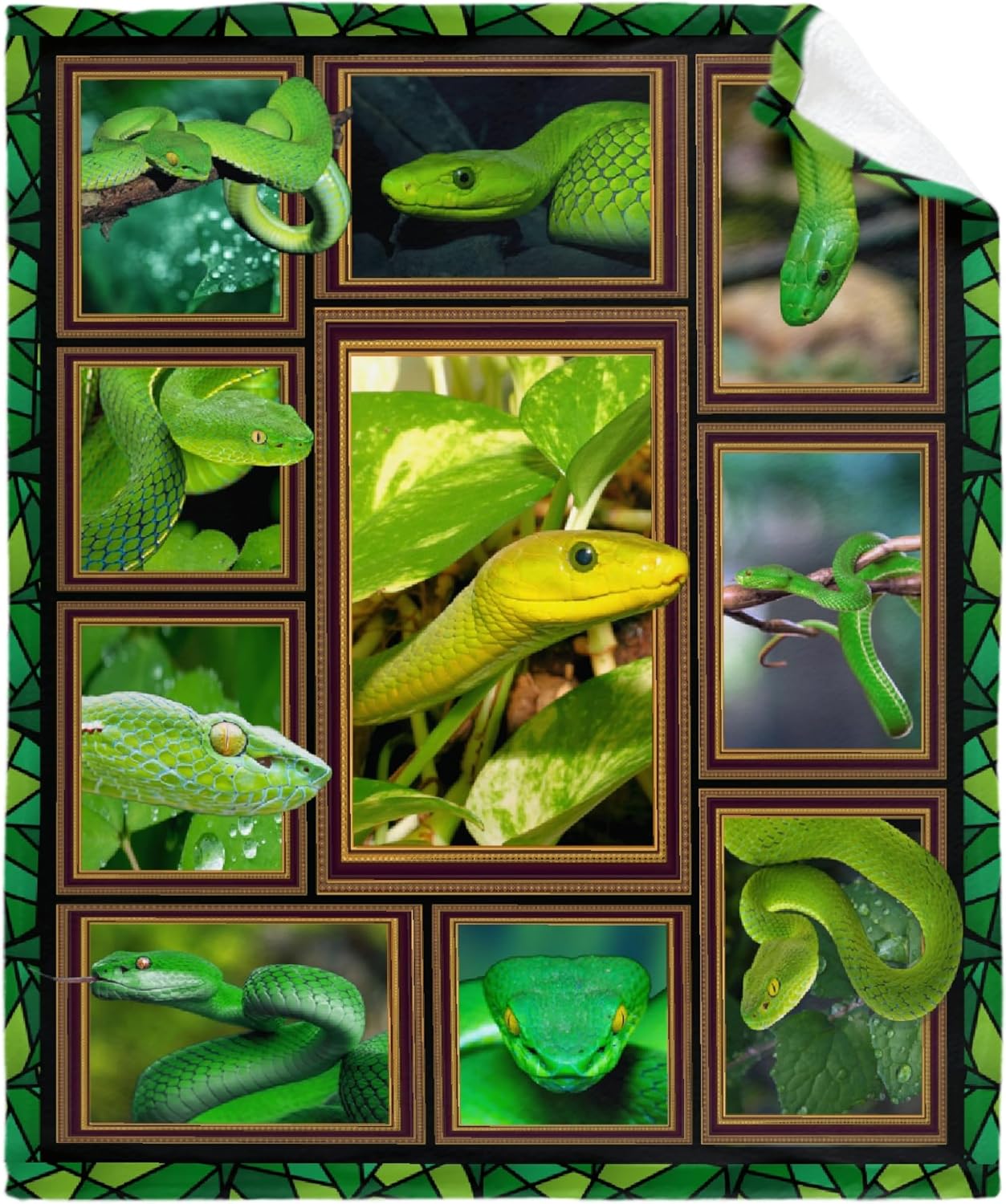 Amazon.com: Snake Blanket for Adults and Kids - Soft Flannel Plush ...