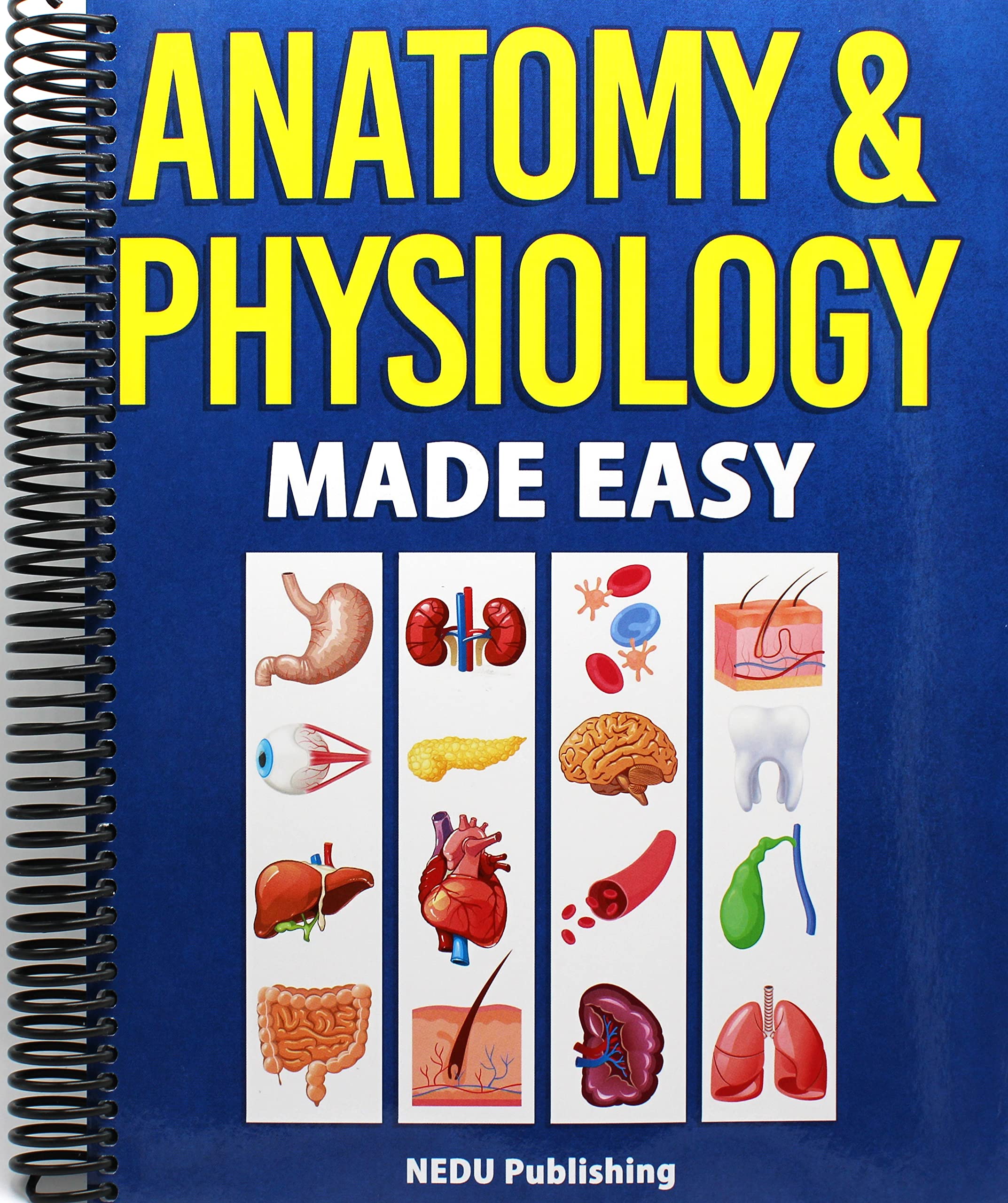 Anatomy & Physiology Made Easy: An Illustrated Study Guide for Students ...