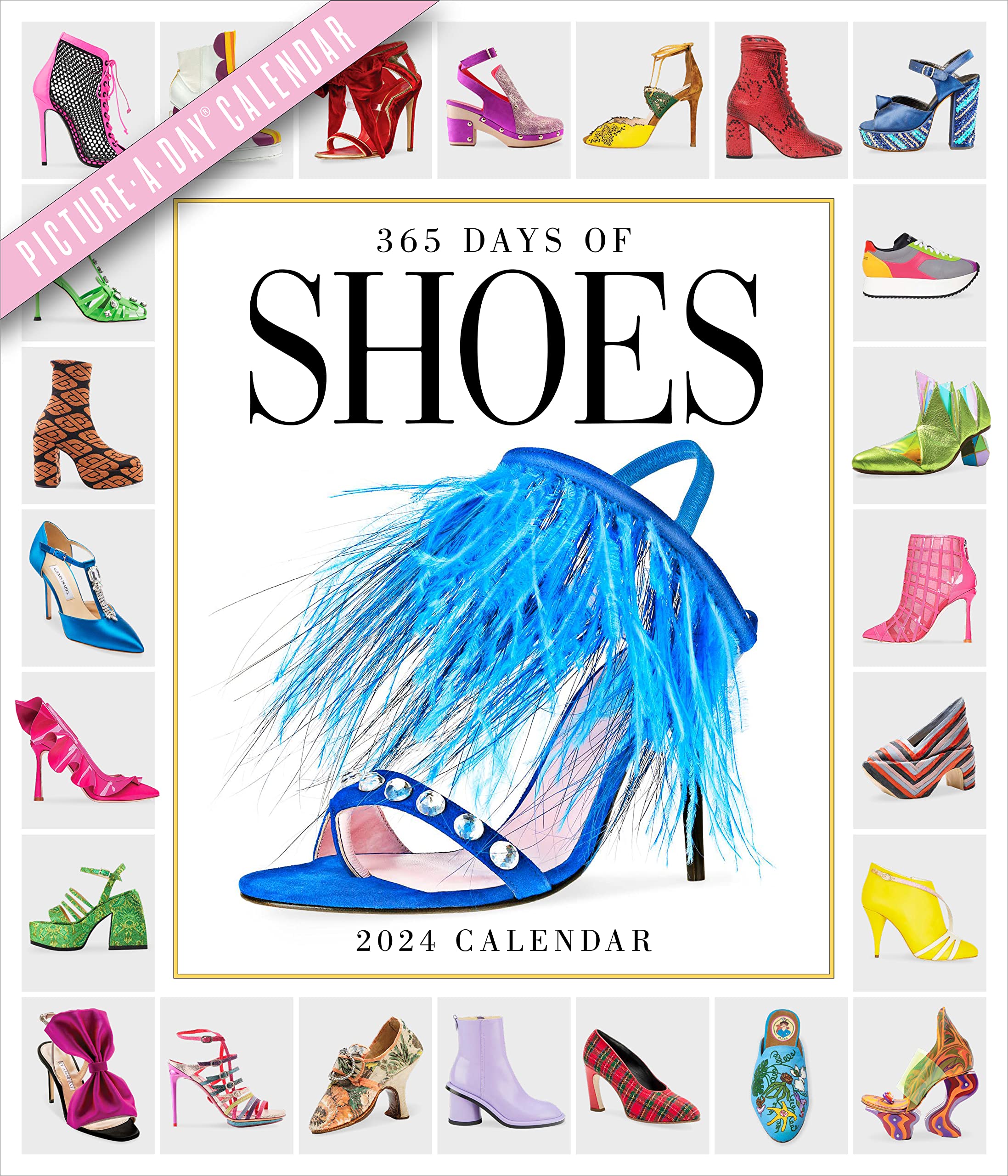 365 Days of Shoes Picture-A-Day Wall Calendar 2024: An Obsessive ...