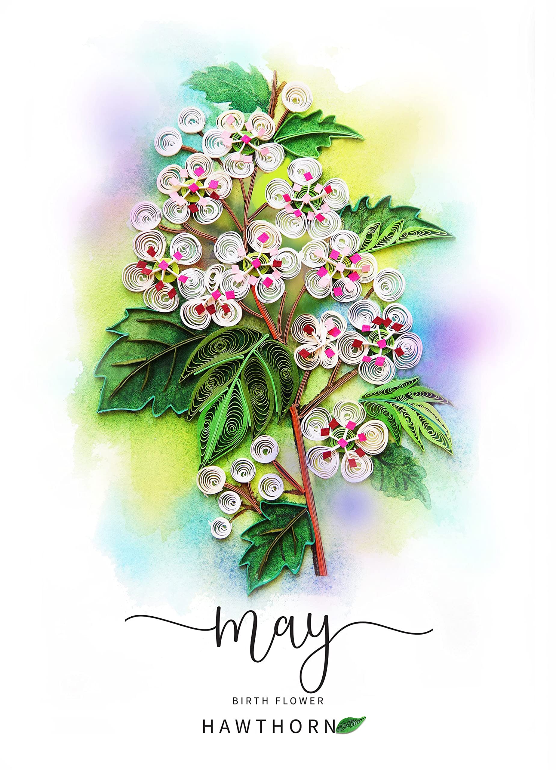 May Birth Flower