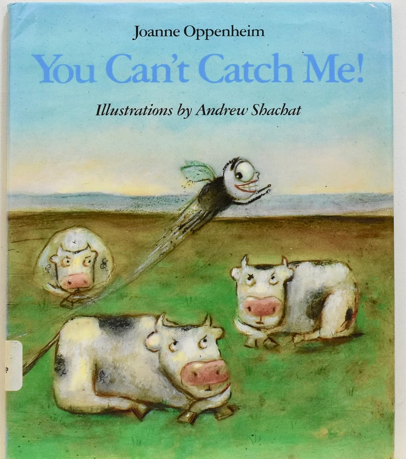 You Can't Catch Me!: Oppenheim, Joanne, Shachat, Andrew: 9780395414521 ...
