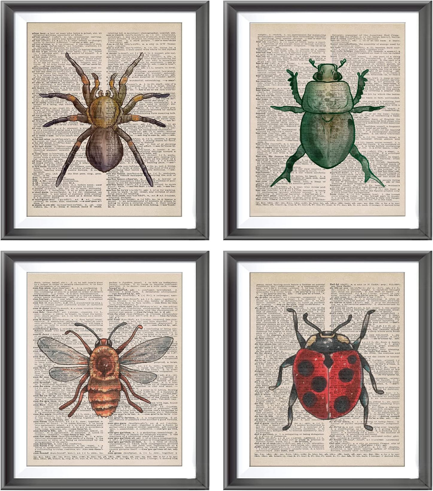 Amazon.com: HKTZM Bugs Mollusks Wooden Poster Hangers 12.5x17 Inch ...