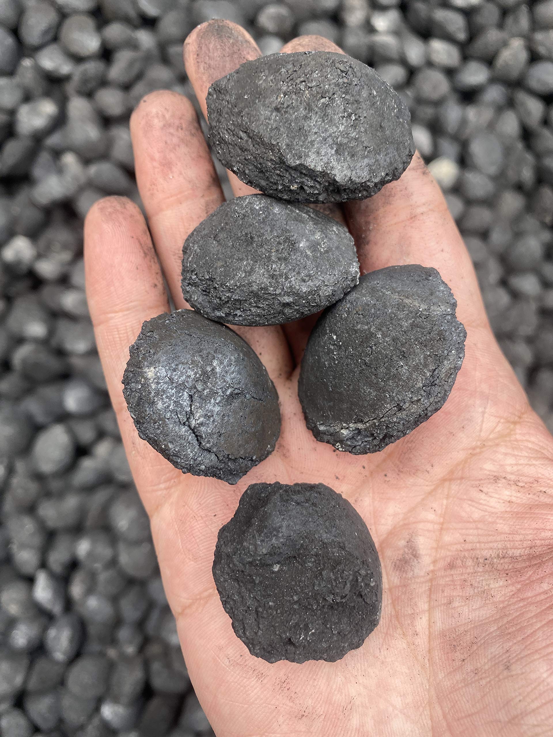 Real Coal